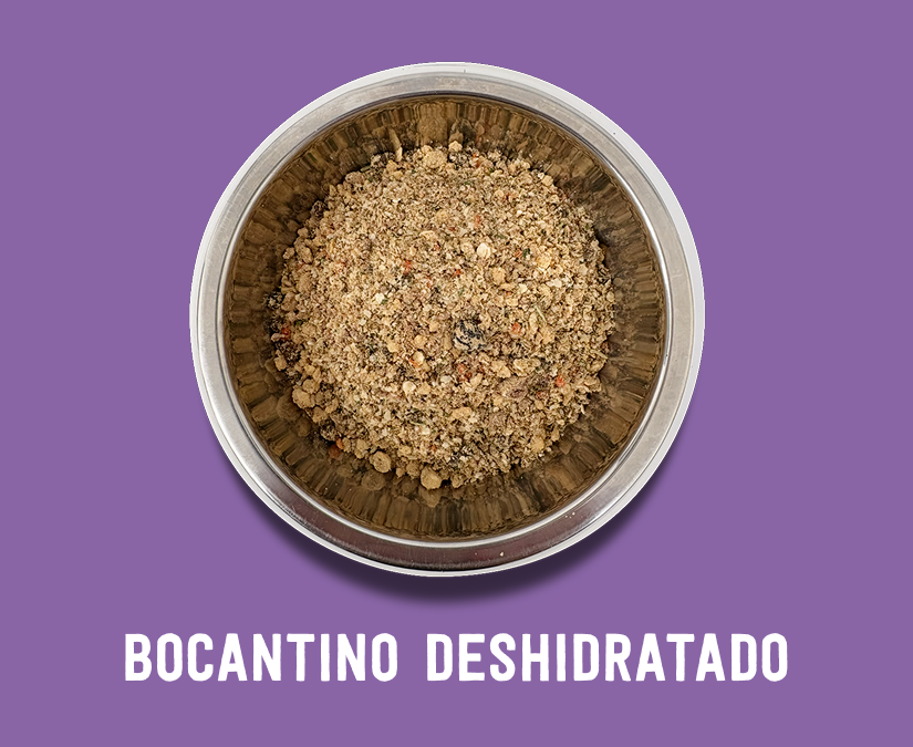 Para Gatos con Carne de Pollo – BOCANTINO